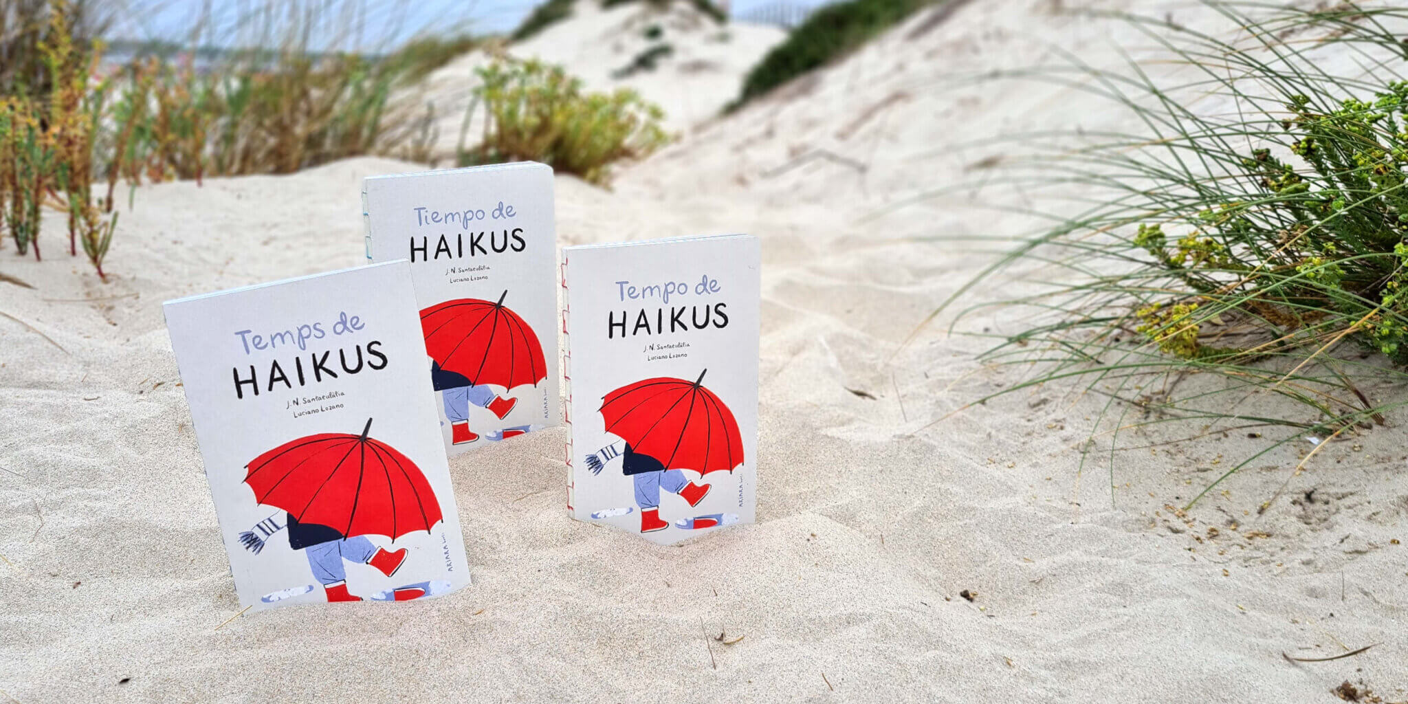 Tiempo de haikus - AKIARA books